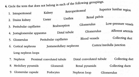 Circle the term that does not belong in each of the followin | Quizlet
