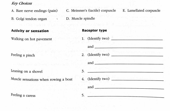 Certain activities or sensations are listed below. Using the | Quizlet