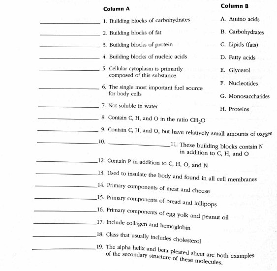 Match the terms in Column B to the descriptions provided in | Quizlet