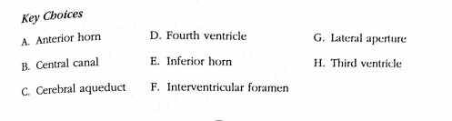 Figure 7-6 illustrates a "see-through" brain showing the pos | Quizlet