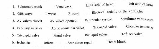 Circle the term that does not belong in each of the followin | Quizlet