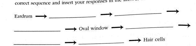 Sound waves hitting the eardrum set it into vibration. Trace | Quizlet
