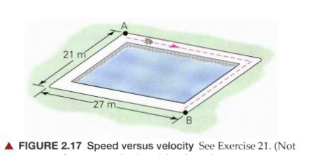 An insect crawls along the edge of a rectangular swimming po | Quizlet