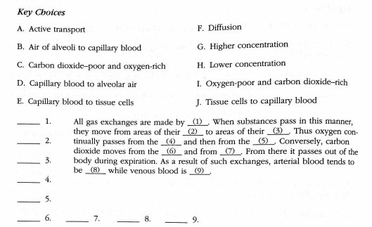 Use the key choices to correctly complete the following stat | Quizlet