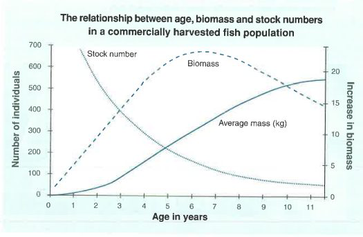 Use the graph showing the relationship between age, biomass, | Quizlet