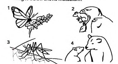 Symbiotic relationships include mutualism, commensalism, and | Quizlet