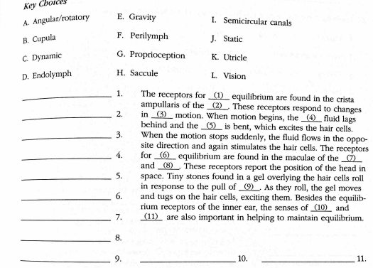Complete the following statements on the functioning of the | Quizlet