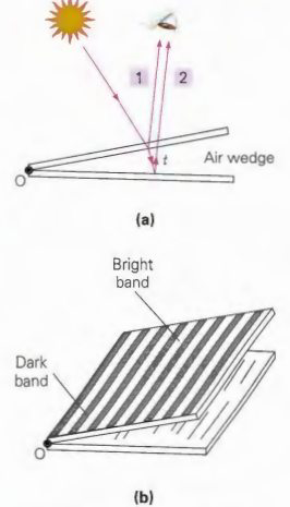A thin air wedge between two flat glass plates forms bright | Quizlet