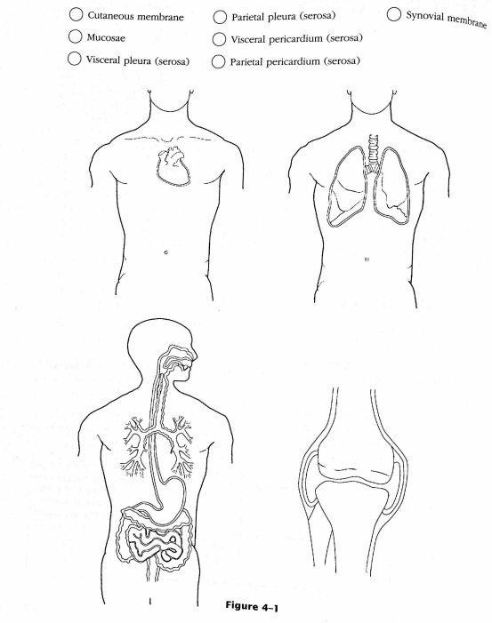 Four simplified diagrams are shown in Figure 4-1. Select dif | Quizlet