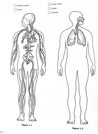 Figures 1-1 to $1-6$, on pages $4-6$, represent the various | Quizlet